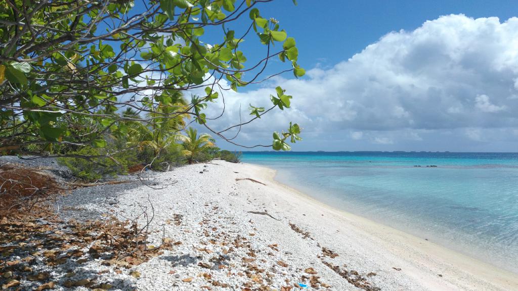 Hao - 3 months on one of the Tuamotu Islands – SY-Maya.de