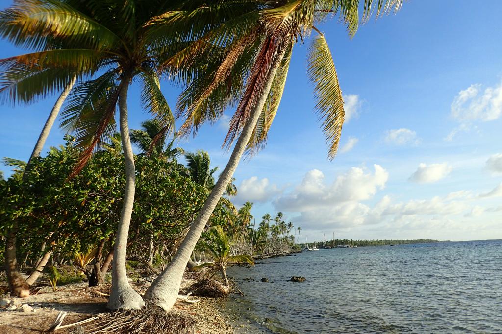 Amanu (Timanu) – SY-Maya.de